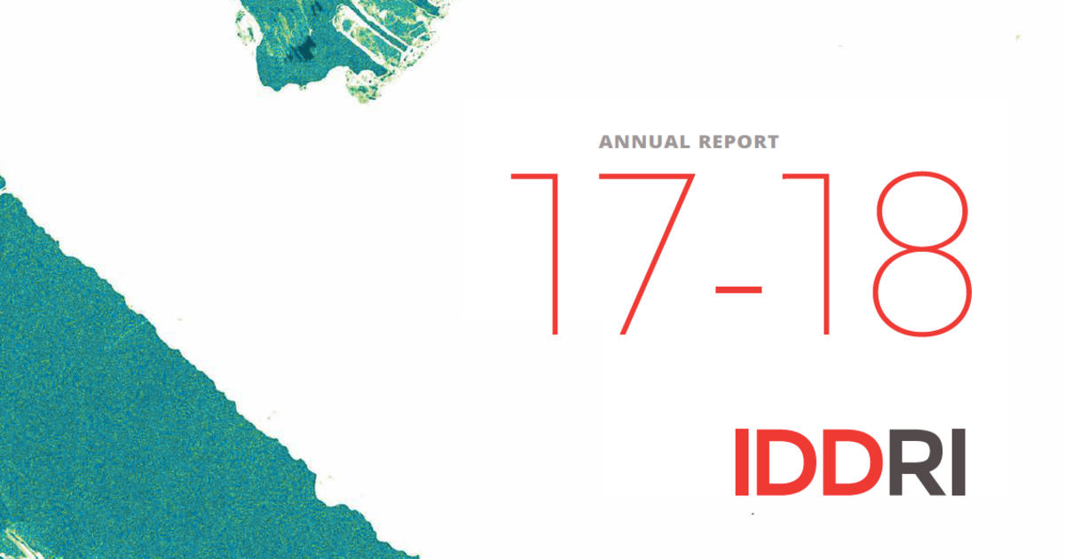 Annual Reports | IDDRI
