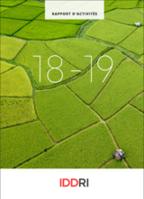 L'Iddri, think tank qui facilite la transition vers le développement ...